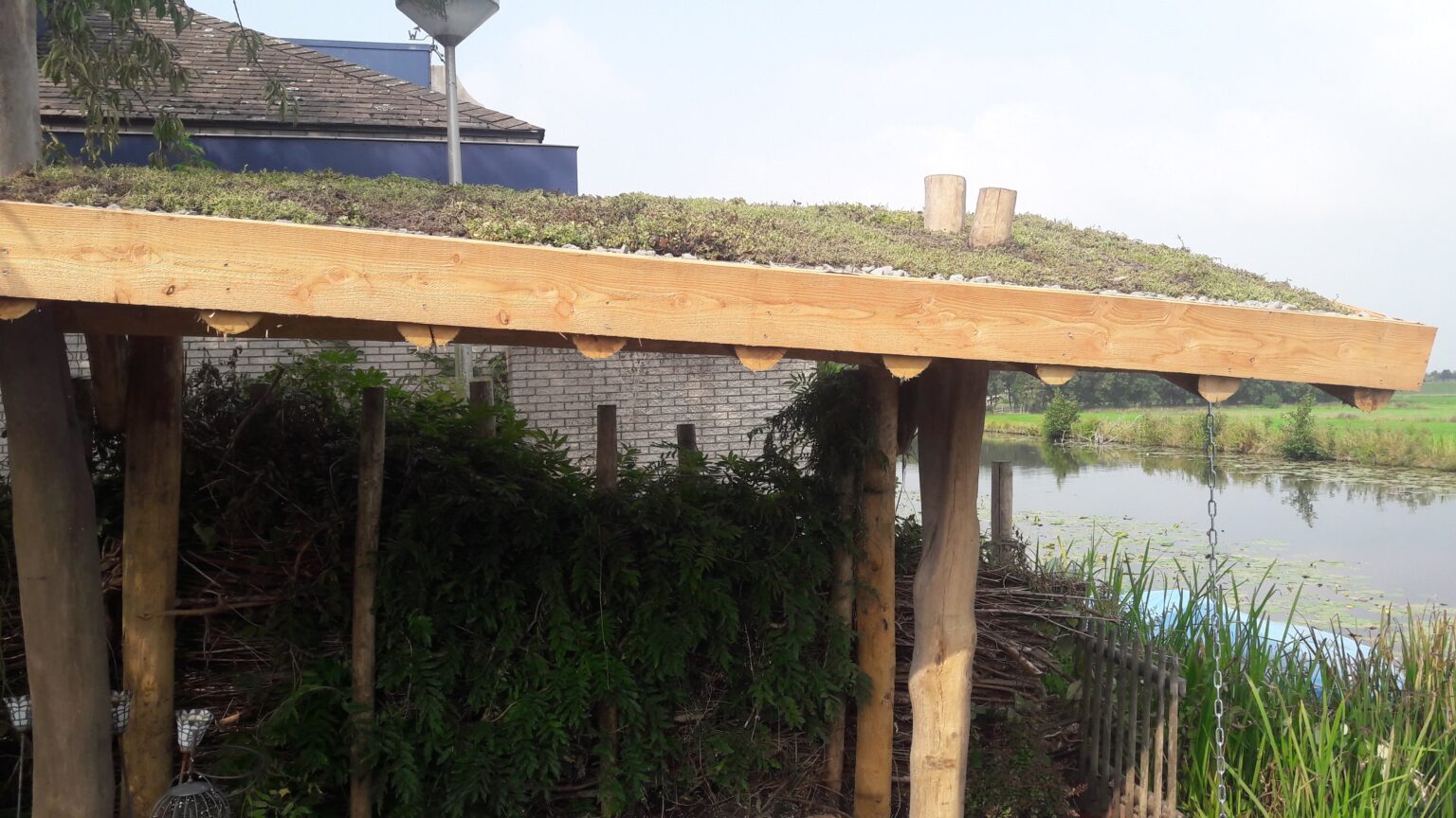 Groen dak | Willemstein Hoveniers Waddinxveen